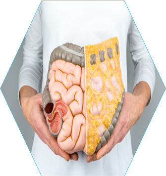 Products – Moe Thitsar Myay Co, Ltd