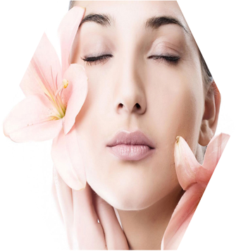 Products – Moe Thitsar Myay Co, Ltd