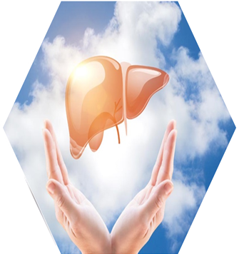 Liver Care – Moe Thitsar Myay Co, Ltd