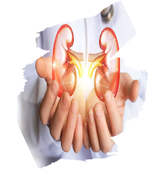 Products – Moe Thitsar Myay Co, Ltd