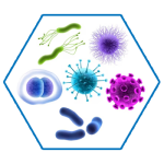 Products – Moe Thitsar Myay Co, Ltd