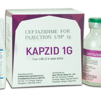 Products – Moe Thitsar Myay Co, Ltd